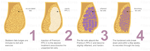 PPC-C FAT DISSOLVER - FAROHA