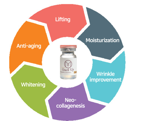 Miracle Touch Up - FAROHA