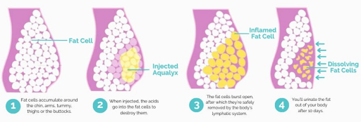 AQUALYX FAT DISSOLVER - FAROHA