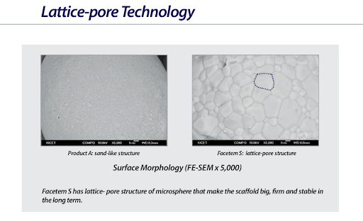 FACETEM DERMAL FILLERS - FAROHA