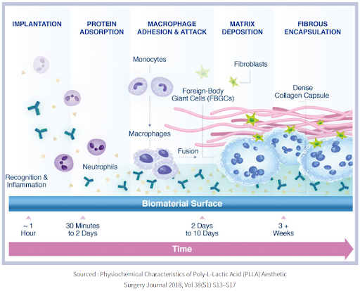 OLIDIA PLLA - FAROHA