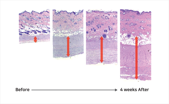 Miracle Touch Up - FAROHA